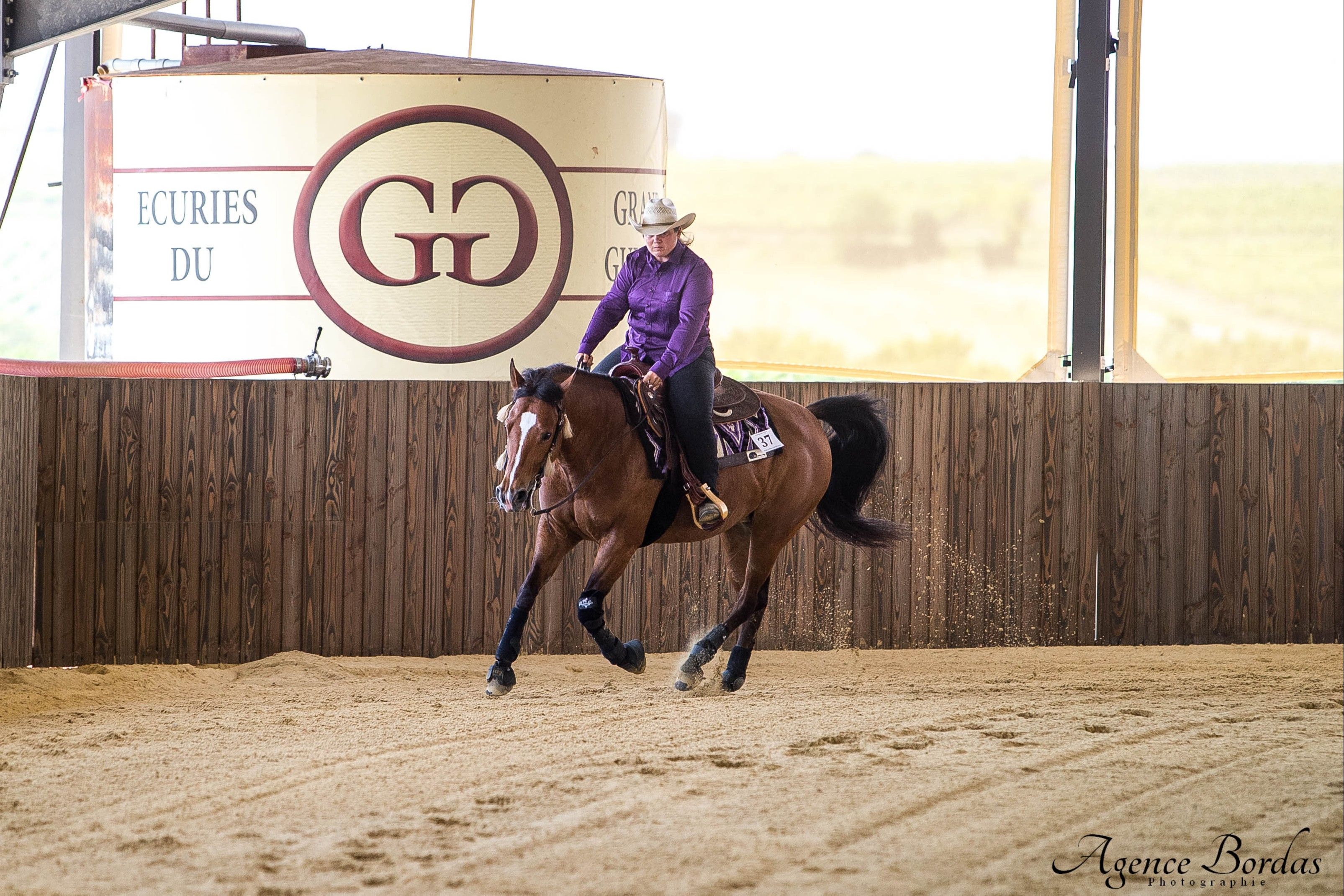 Enseignement | Grand guillon